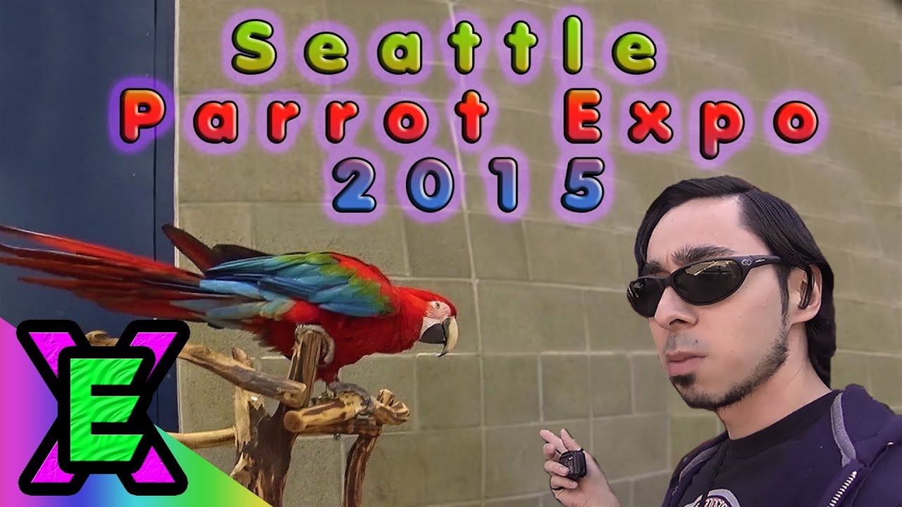 Seattle Parrot Expo (2015) - YouTube