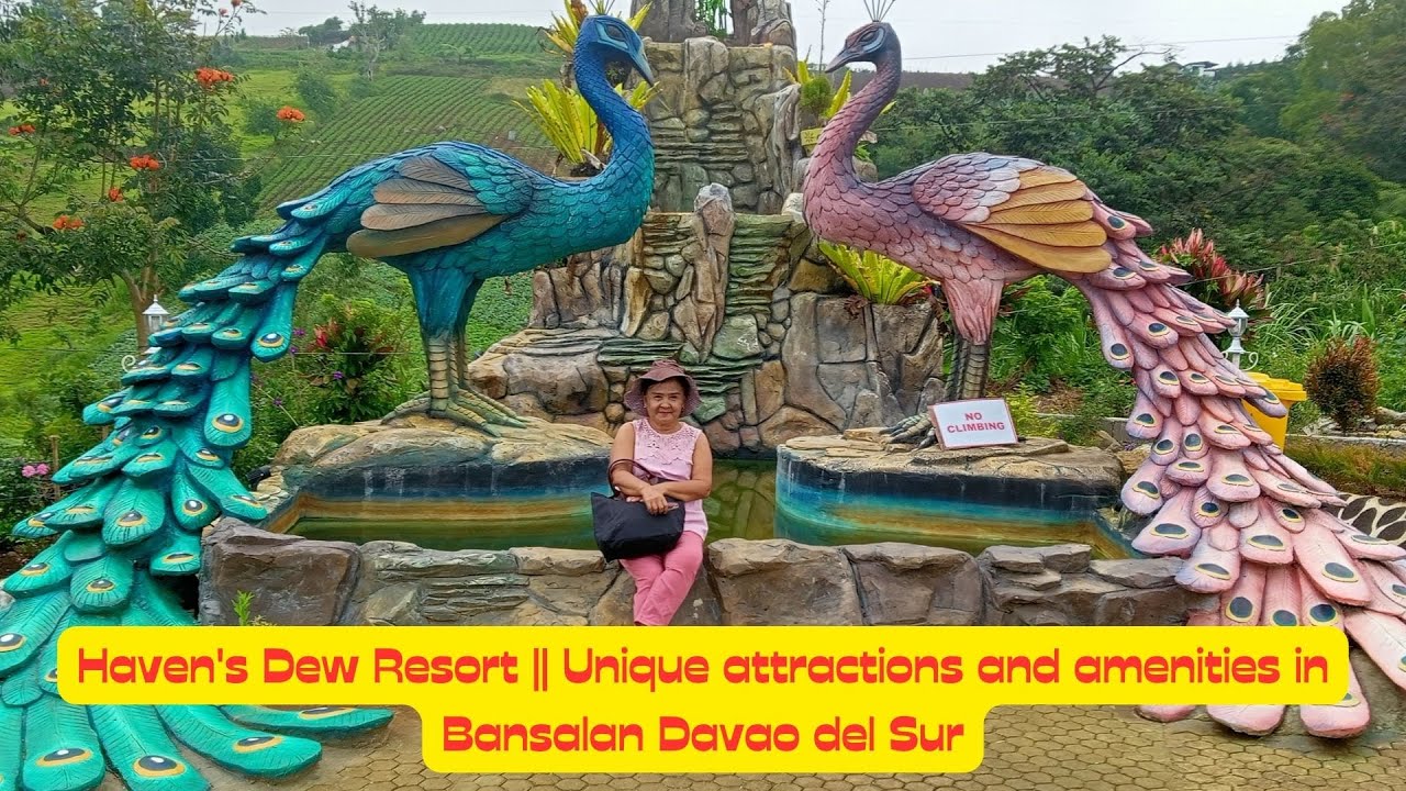 Haven's Dew Resort Unique attractions and amenities in Bansalan Davao ...