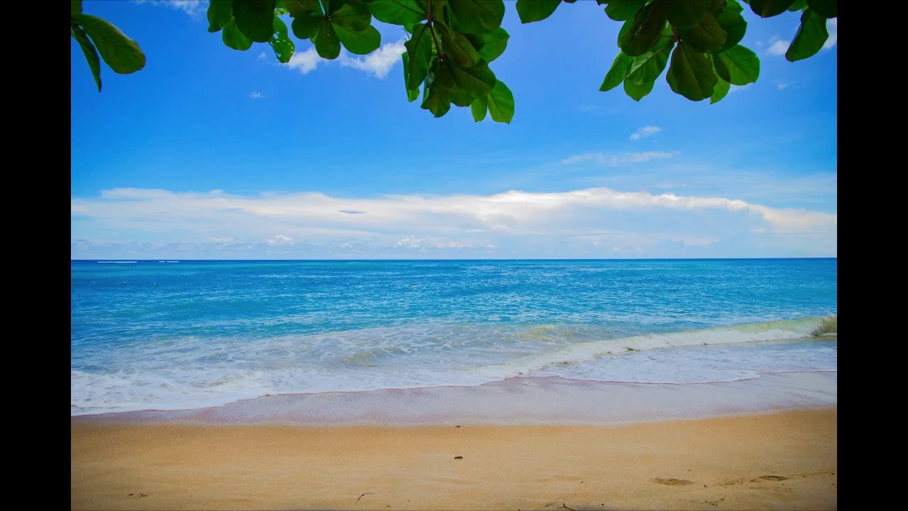 Calm & Ease - Meditation for Releasing Struggle - YouTube