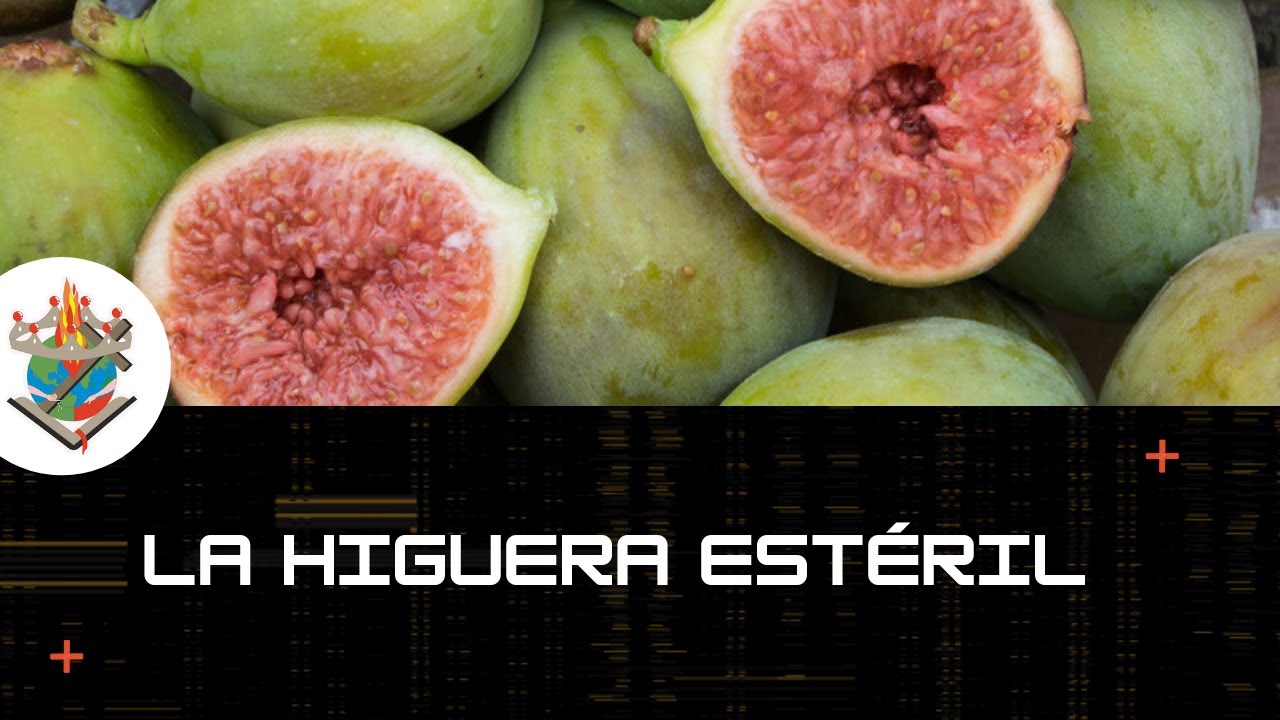 LA HIGUERA ESTERIL - YouTube