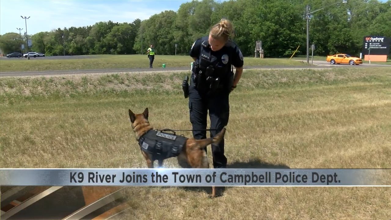 Town of Campbell Police Department welcomes their newest officer - YouTube