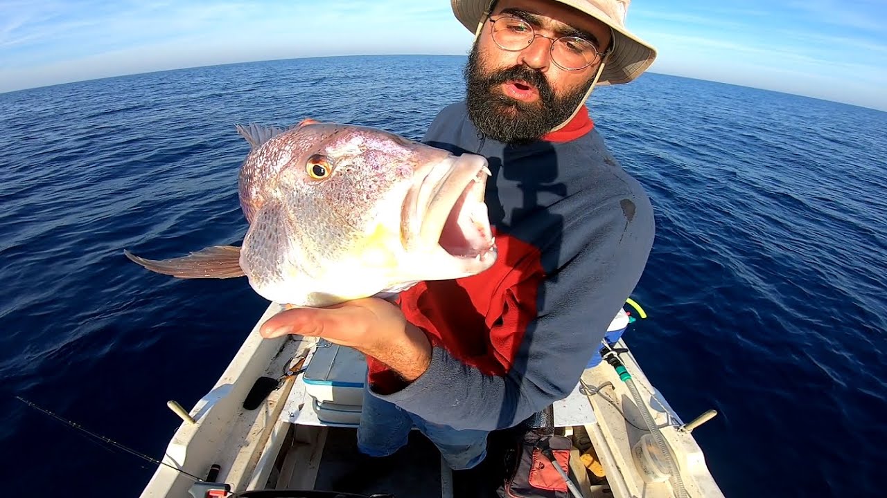 Ψαρεμα με ζωντανο! Only Strikes and big fish . Live bait fishing - YouTube