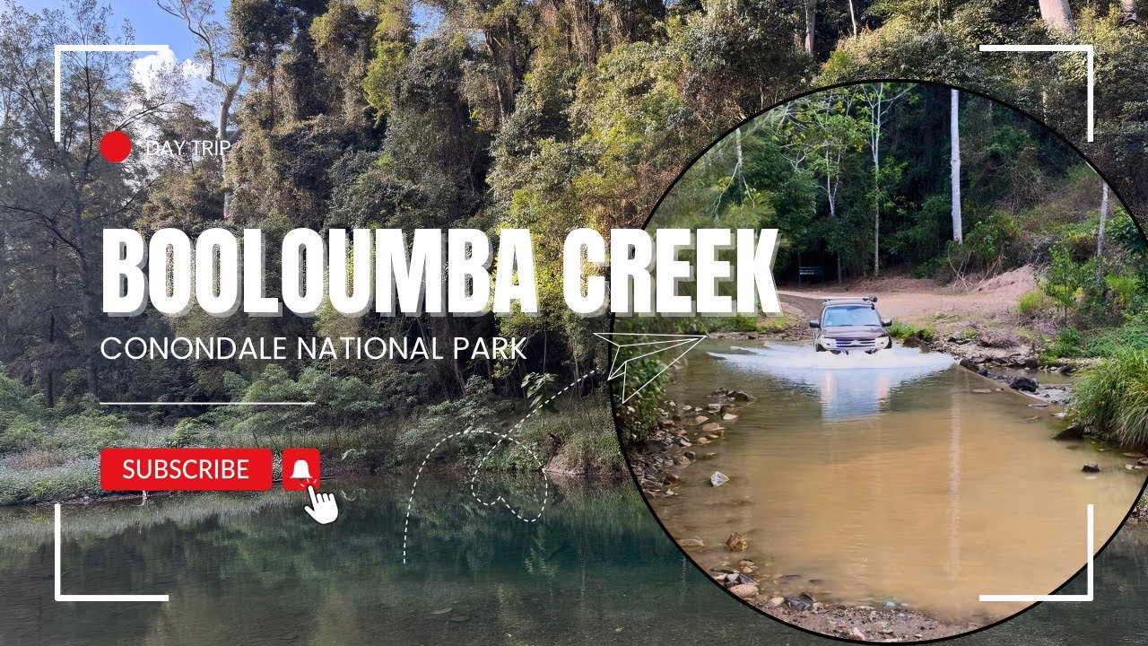 BOOLOUMBA CREEK QLD | Day Trip into the Tranquil Beauty of Conondale ...