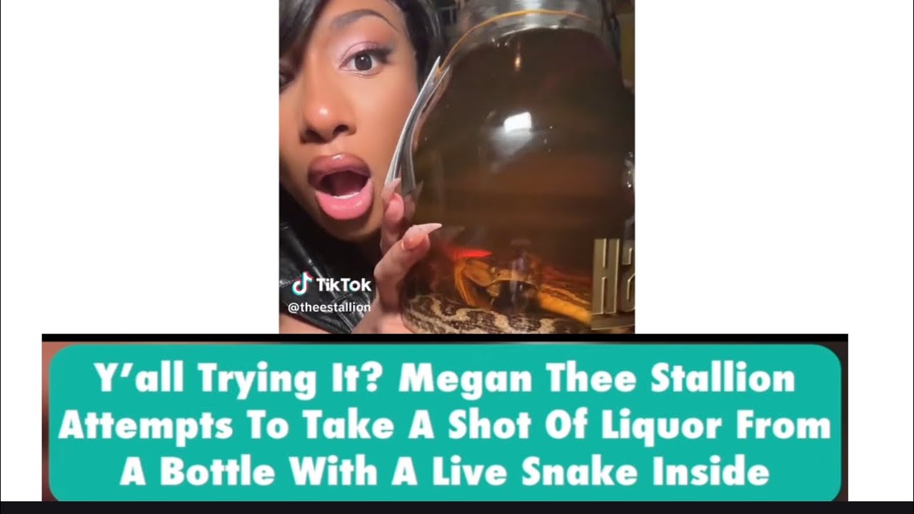 MEGAN THEE STALLION TAKING A SHOT OF DRINK WITH A LIVE SNAKE INSIDE THE ...