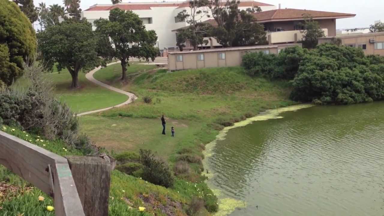 Trip to the UCSB Lagoon - YouTube