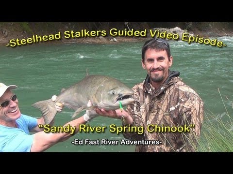 -Sandy River Spring Chinook (Springers) Salmon Fishing Guide Video- Ed ...