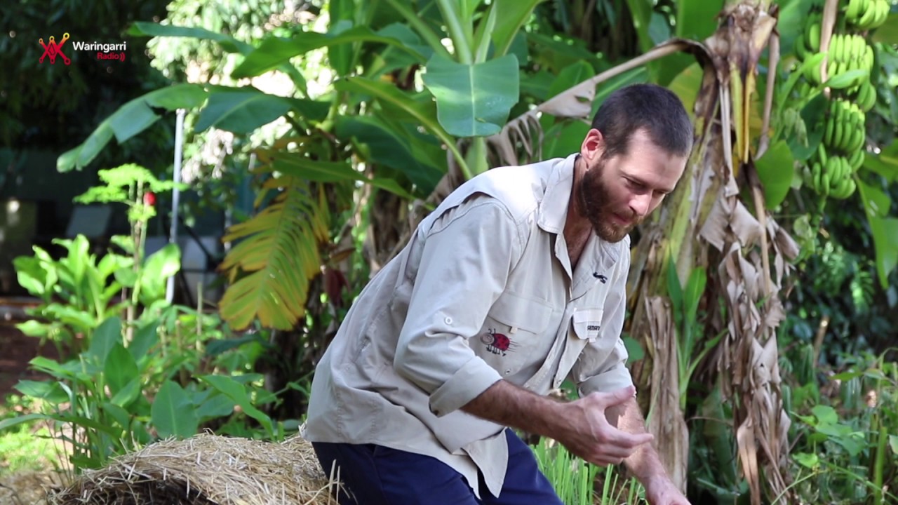 Community Garden_Ben - YouTube