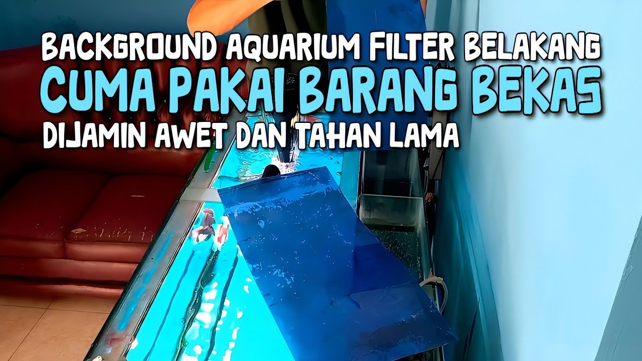 HEMAT! Pasang Background Aquarium Filter Belakang, Pakai Bahan Bekas ...