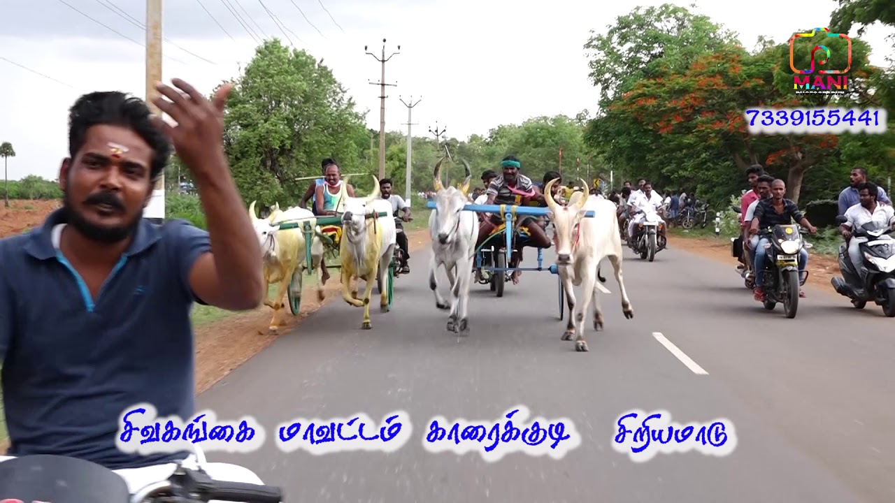 Sivagangai dist karaikudi mattuvandi panthayam - YouTube