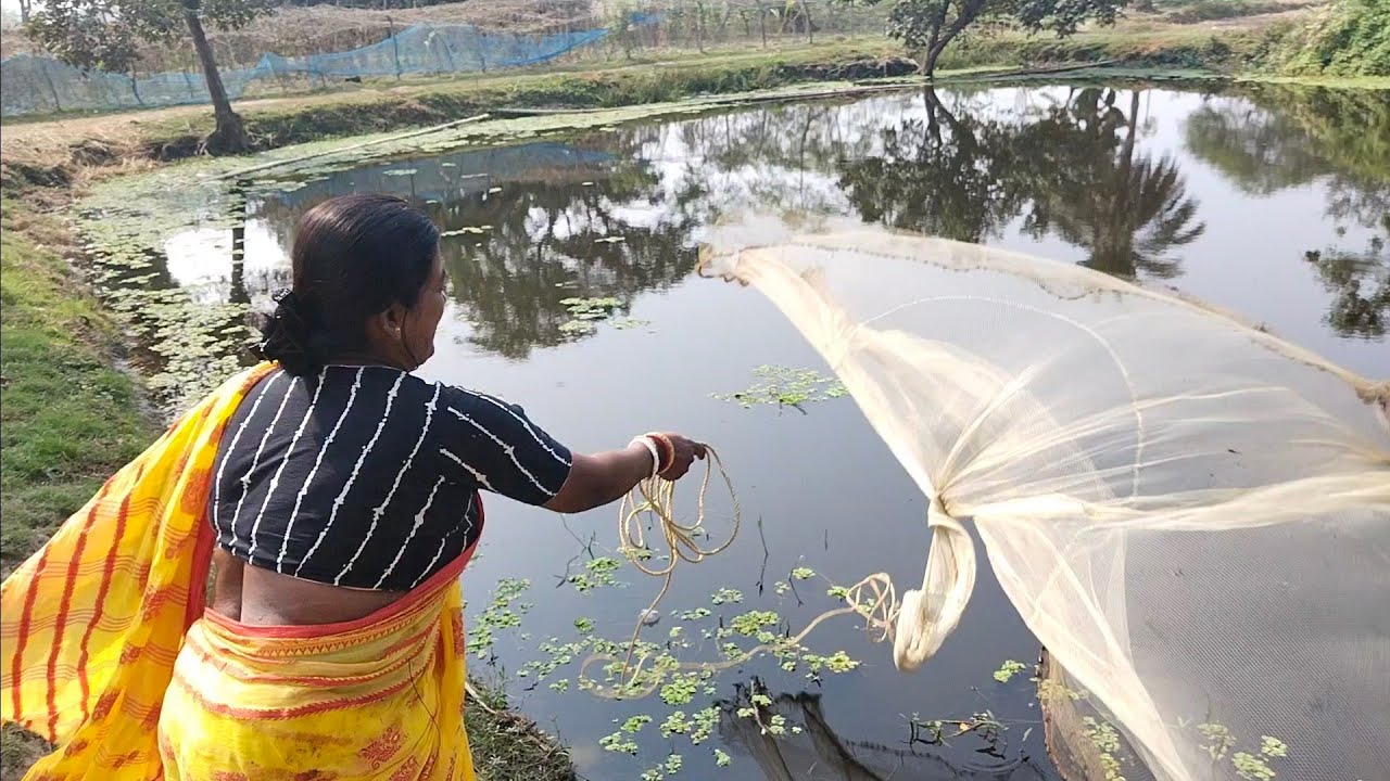 সুন্দরবনের দিঘিতে মাছ ধরার কৌশল। sundarban vlog / sundarban trip ...