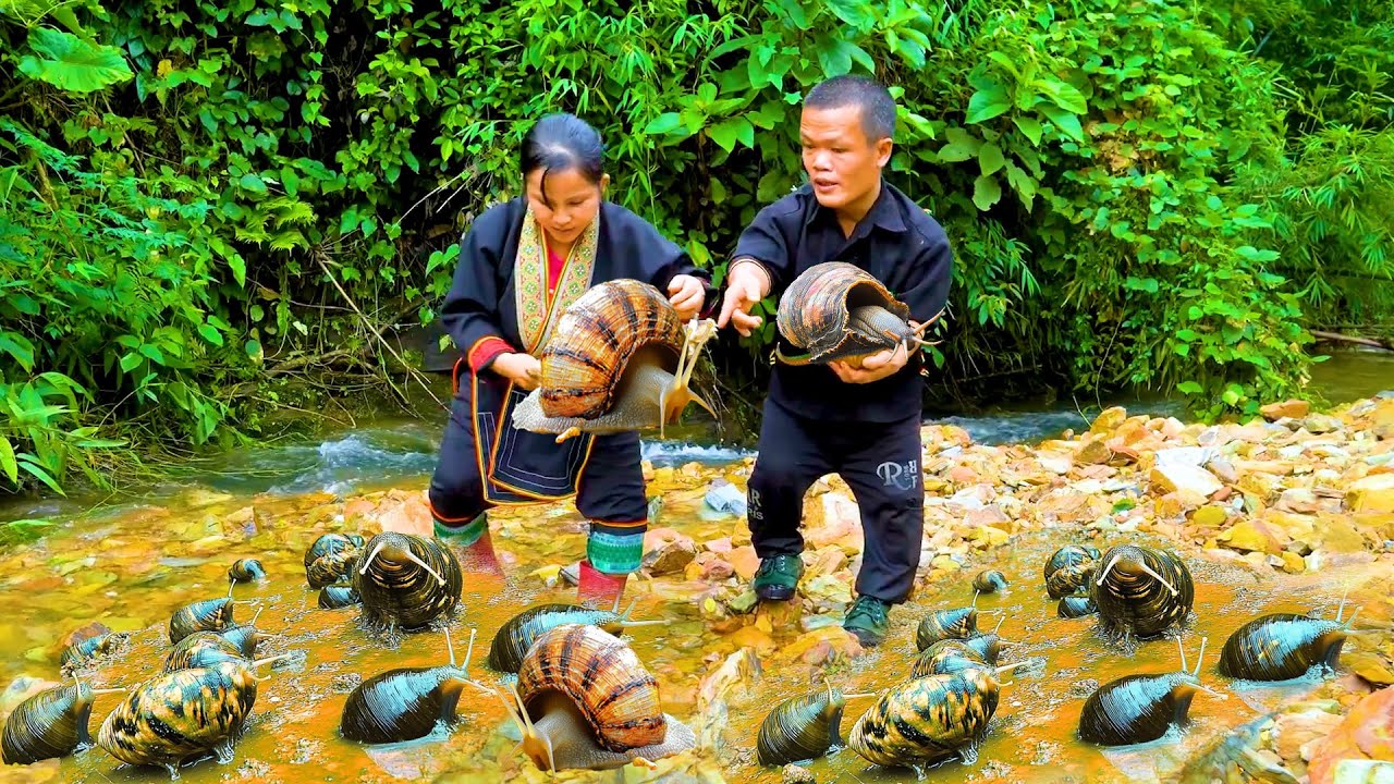 Dwarf Family Catches Snails and Prepares Delicious Snail Dishes at Home ...