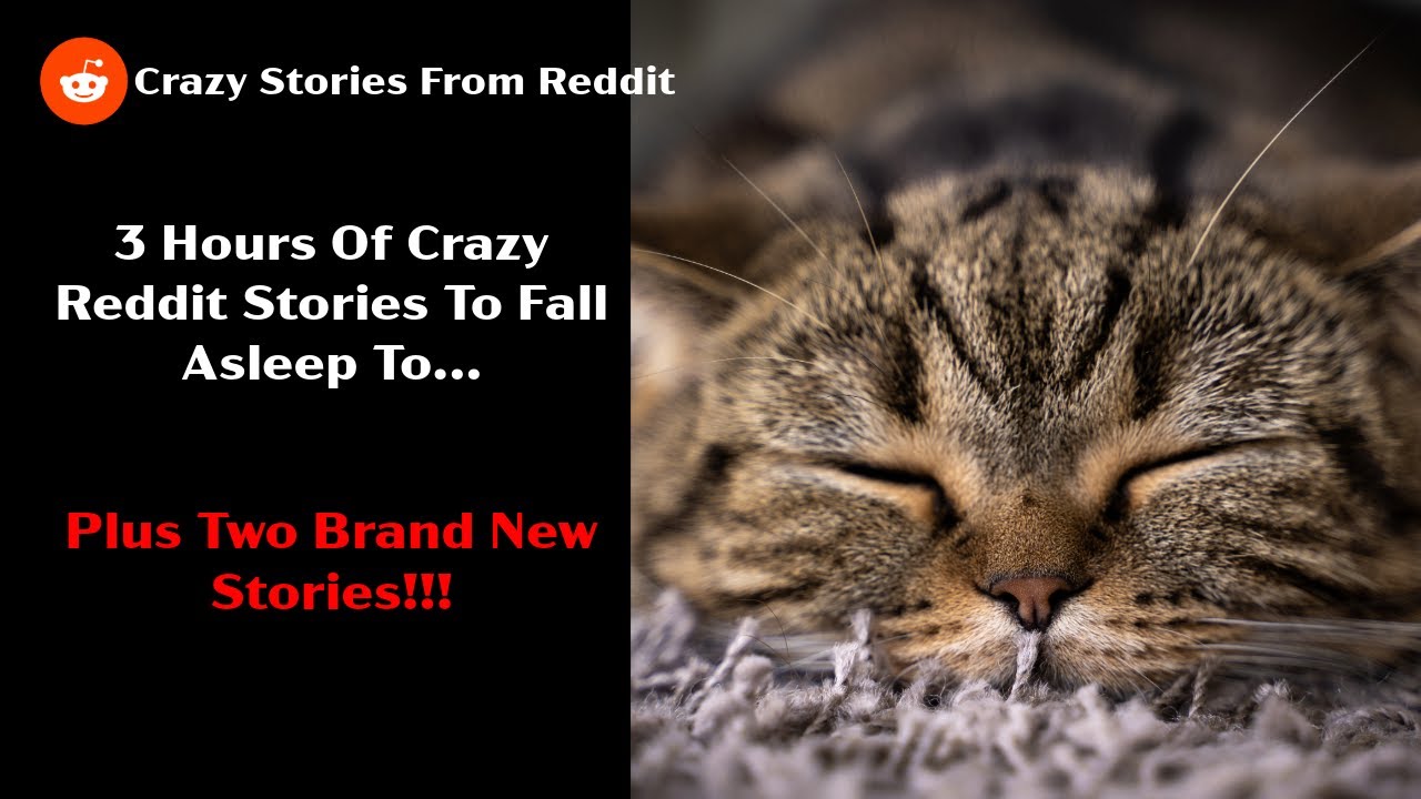 Reddit stories for bedtime! - YouTube