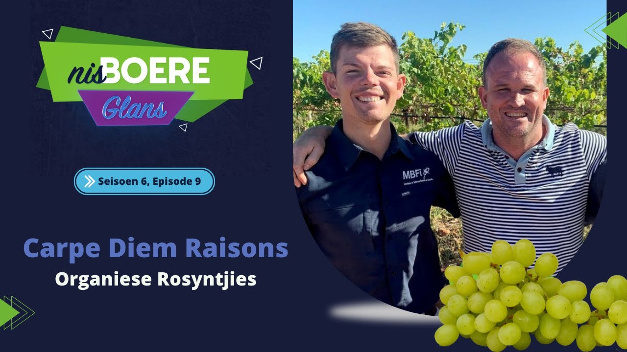 Nisboere 6 | Episode 9 | Organiese Rosyntjies - YouTube