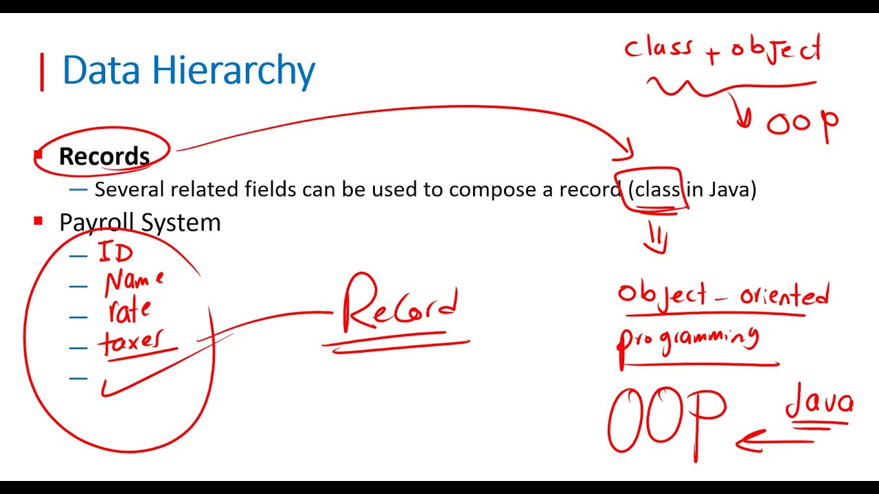 Lecture 02 Java | Data Hierarchy بالعربي - YouTube