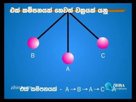 O/L - 11 Yaanthrika Ha Vidyuth Chumbaka Tharanga - YouTube