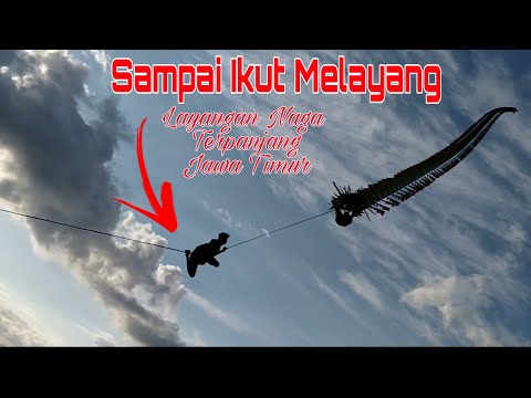 Viral ! Penerbangan Layangan Naga Terpanjang Di Jawa Timur