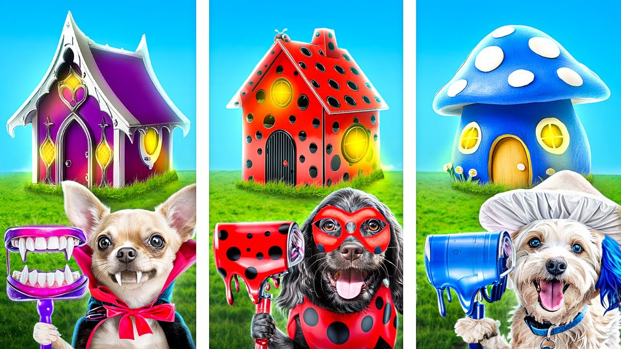 One Colored Dog House Challenge! - YouTube