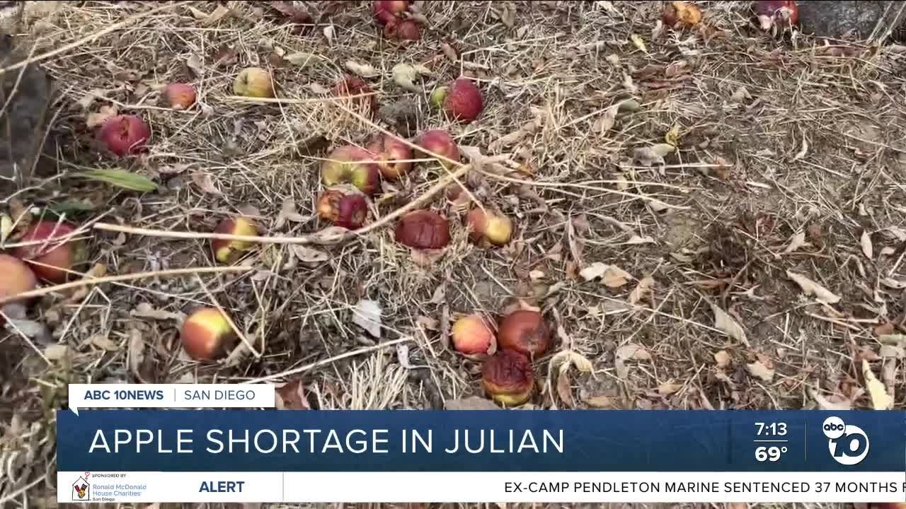 Julian apple farms hit hard by recent heatwave - YouTube