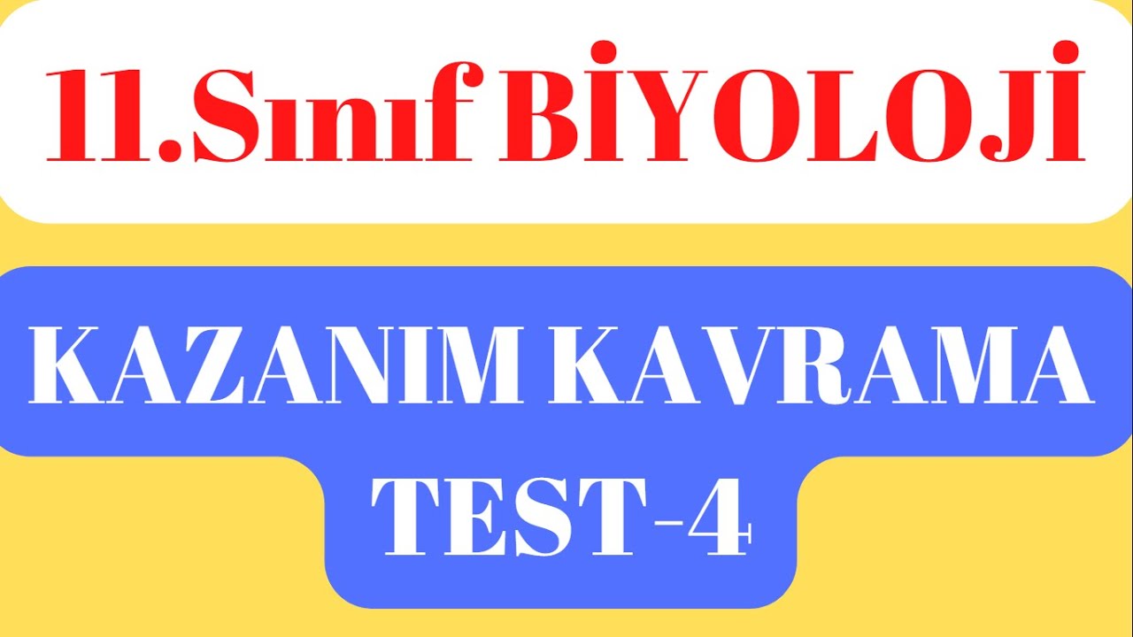 11 sınıf BİYOLOJİ KAZANIM KAVRAMA TEST- 4 (DUYU ORGANLARI) - YouTube