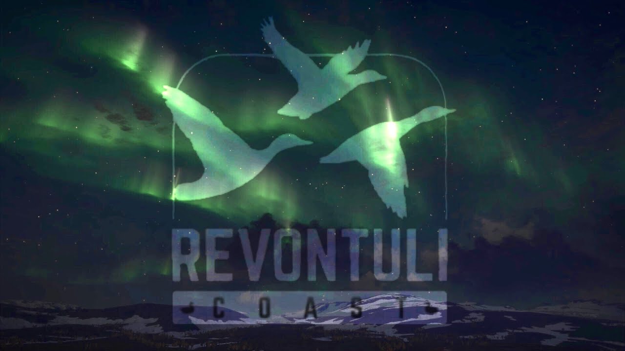 MY FIRST TIME EVER WITNESSING THE NORTHERN LIGHTS ON REVONTULI COAST ...