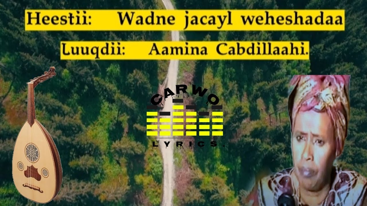 Aamina Cabdillaahi|| Wadne jacayl weheshadaa|| Carwo Lyrics. - YouTube