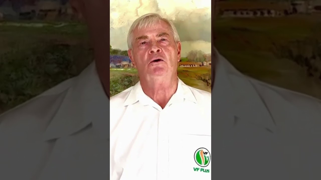 Media | Freedom Front Plus