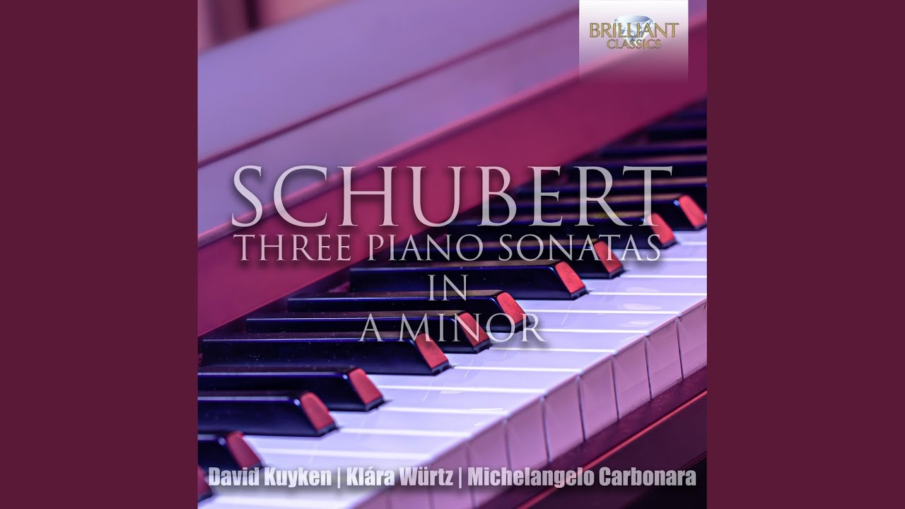 Piano Sonata No. 18 in A Minor, D. 845: II. Andante, poco mosso ...