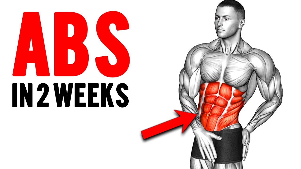 6 Pack Abs Workout Routine Get Abs In 2 Weeks Abs Workout Challenge