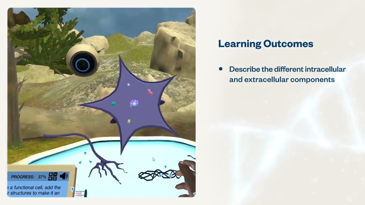 Building Animal Cells | Virtual Lab - YouTube
