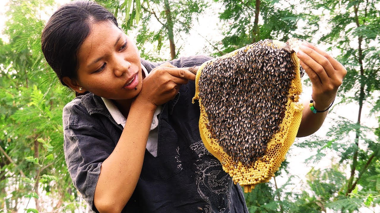 Fishing Nature Kh 2020 - Fishing in Bees Harvesting Honey Beehive 100% ...