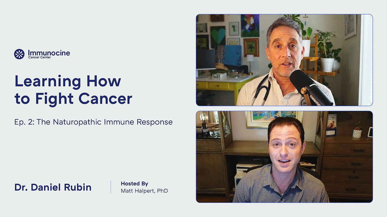 Ep 2 The Naturopathic Immune Response with Dr Dan Rubin | Learning How to Fight Cancer - YouTube