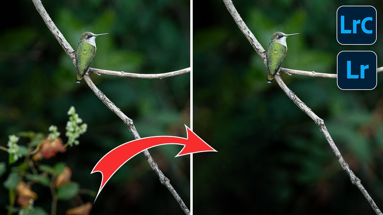 How to Remove ANYTHING in Lightroom - YouTube