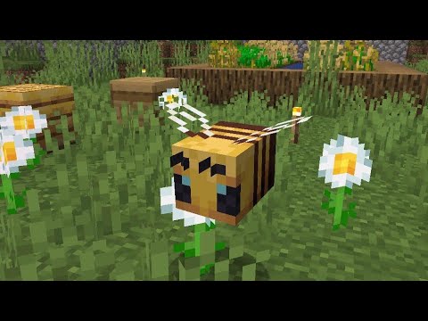 How To Get Bees In Minecraft Bedrock Edition ? | MCPE | Minecraft Pe ...
