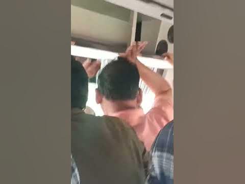 Addala's picnic movement s - YouTube