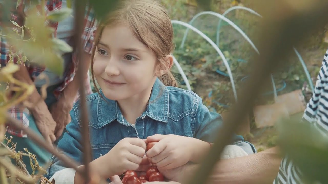 Northern Roots - creating the UK's largest urban farm and eco park in ...