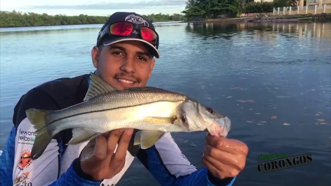 Ranking Corongos 2019 - YouTube