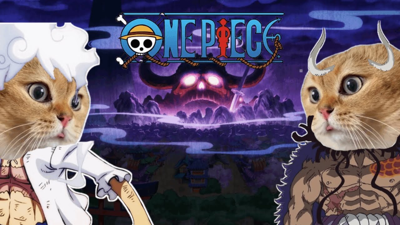 One Piece : Luffy VS Kaido /Cat Memes - YouTube