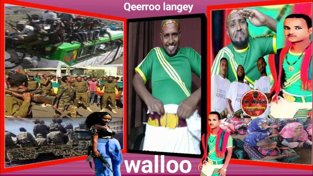 Walloo birraa hadhabanuu duguugaan oromo walloo irratii godhamaa jiruu ...