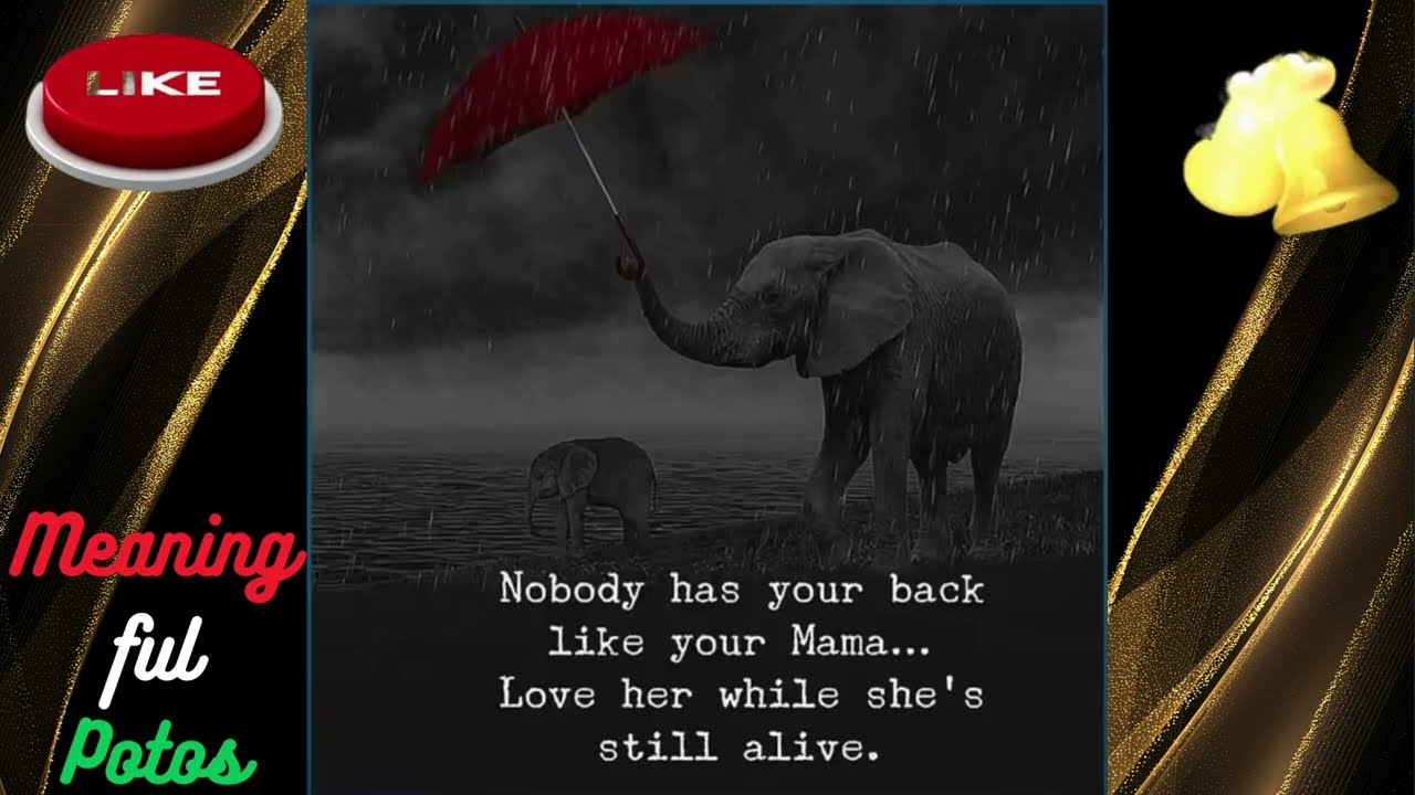 meaningful fotos|meaningful70 |youtube |Foryou | motivational ...