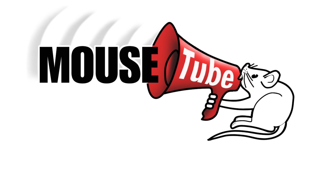 introduction to mouseTube - YouTube