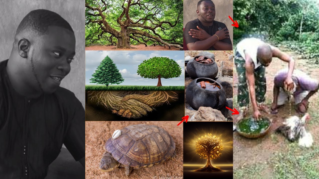 Occult Grandmaster reveals hidden secretes about Trees...codes to know ...