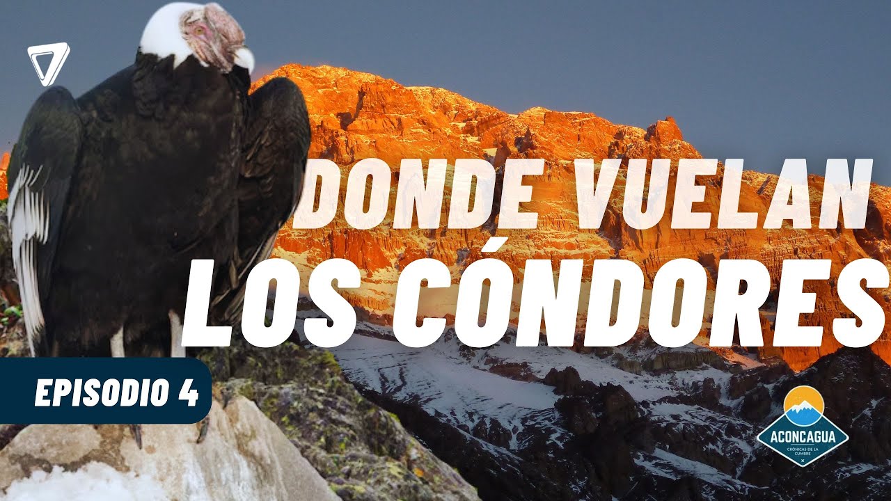 EPISODIO 4 | Donde Vuelan los Cóndores (Nido de Cóndores) - YouTube