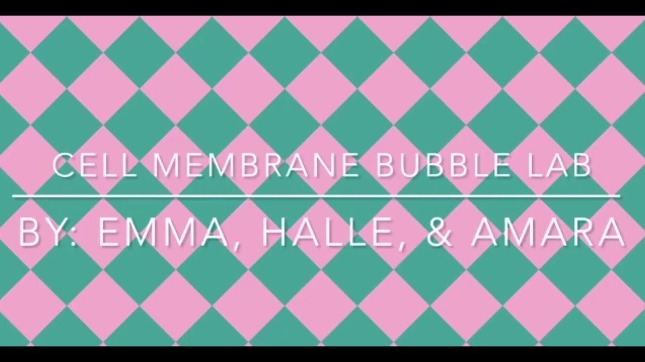 Cell Membrane Lab - AP Bio MHS - YouTube