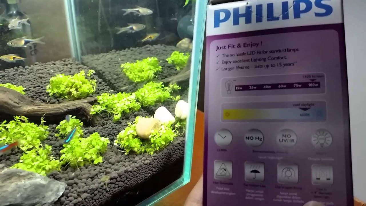 Fluval Edge light upgrade (not expensive and very bright!) - YouTube
