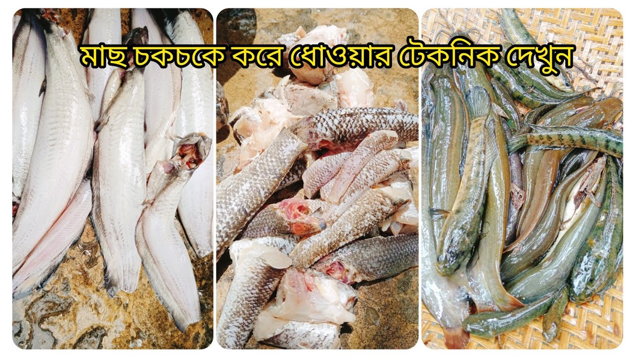 মাছ চকচকে ধোঁয়াওয়ার টেকনিক দেখুন 🦈 mach dhuwar technice sikhun🐠 - YouTube