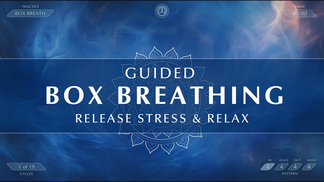 Guided Box Breathing Practice | Release Stress & Relax In Just 5 ...