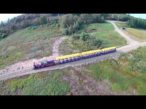 Trueman Blueberry Farms train aerial view long version - YouTube