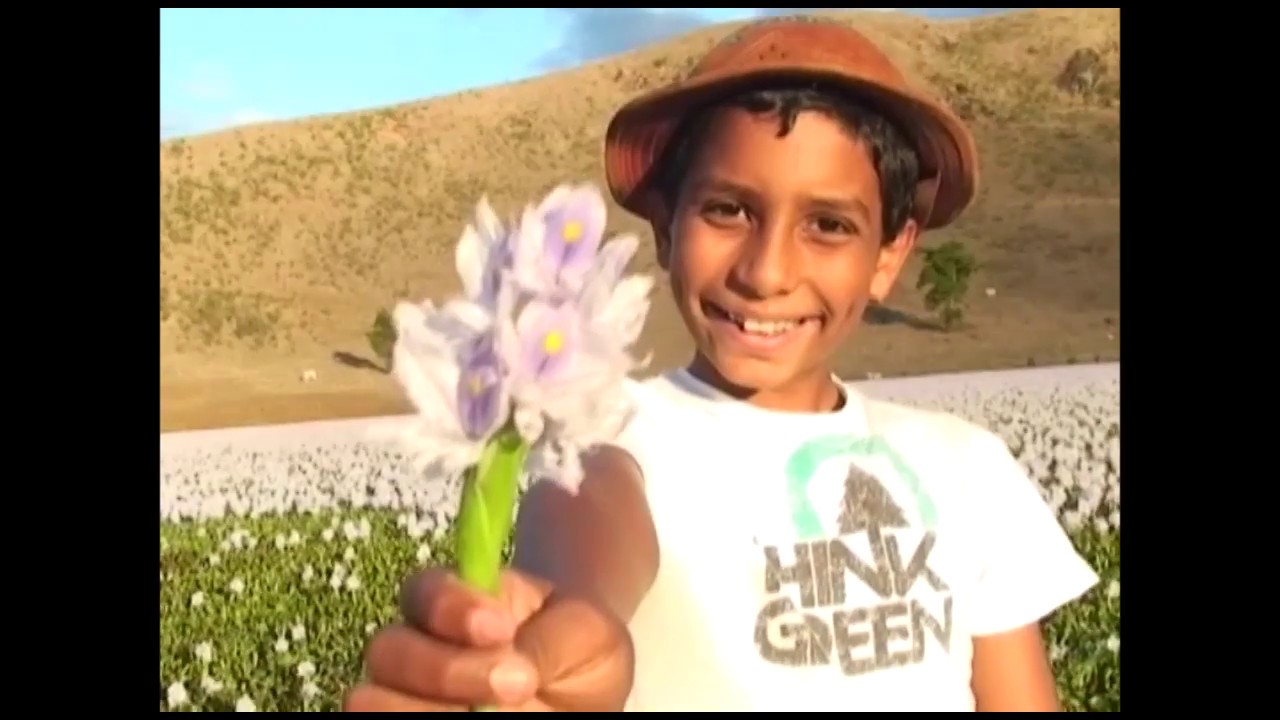 Vida, verde e verdade. - YouTube