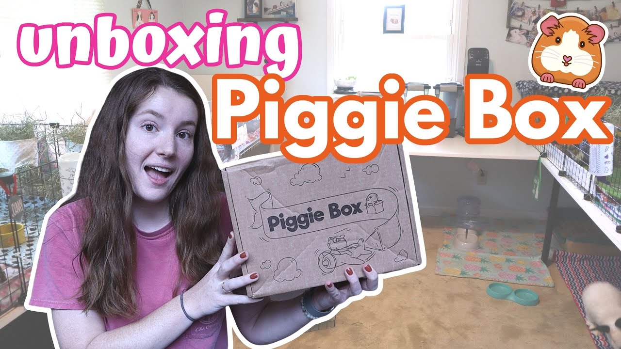 PIGGIE BOX UNBOXING 🐹 // Guinea Pig Subscription Box - YouTube
