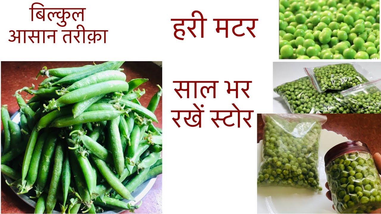 बिना किसी झंझट के हरी मटर करे स्टोर कई किलो Freeze में How to store ...
